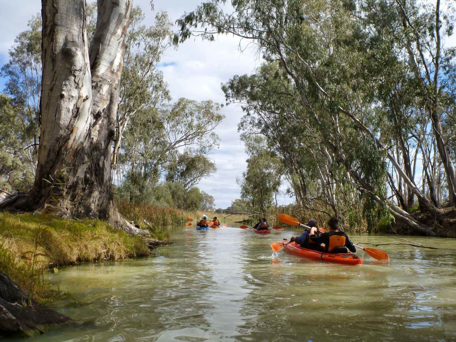 Latest News and Updates from Canoe Adventures