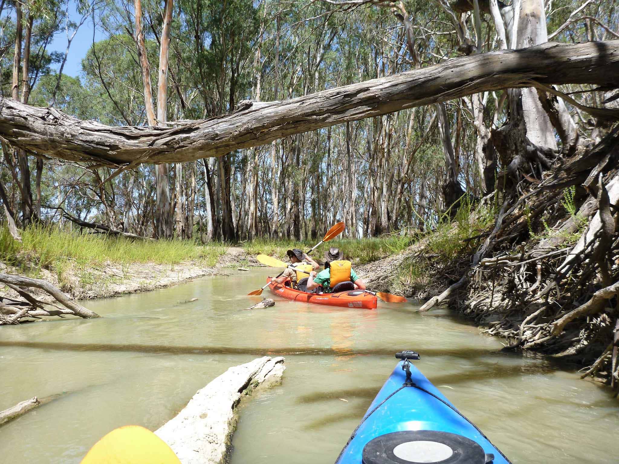 Katfish Reach - Canoe Adventures
