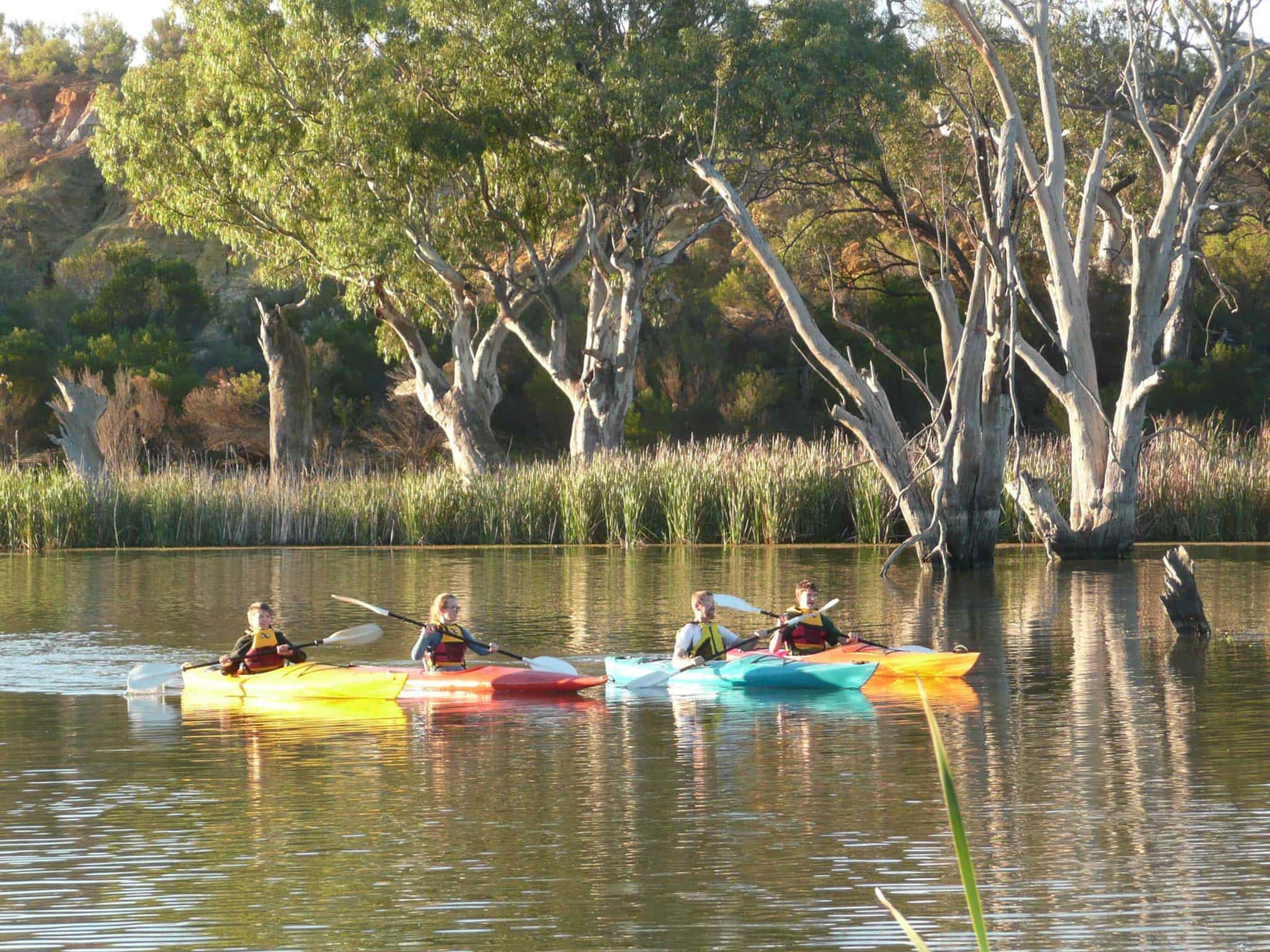 Paddle and Lunch 8-6-19 - Canoe Adventures