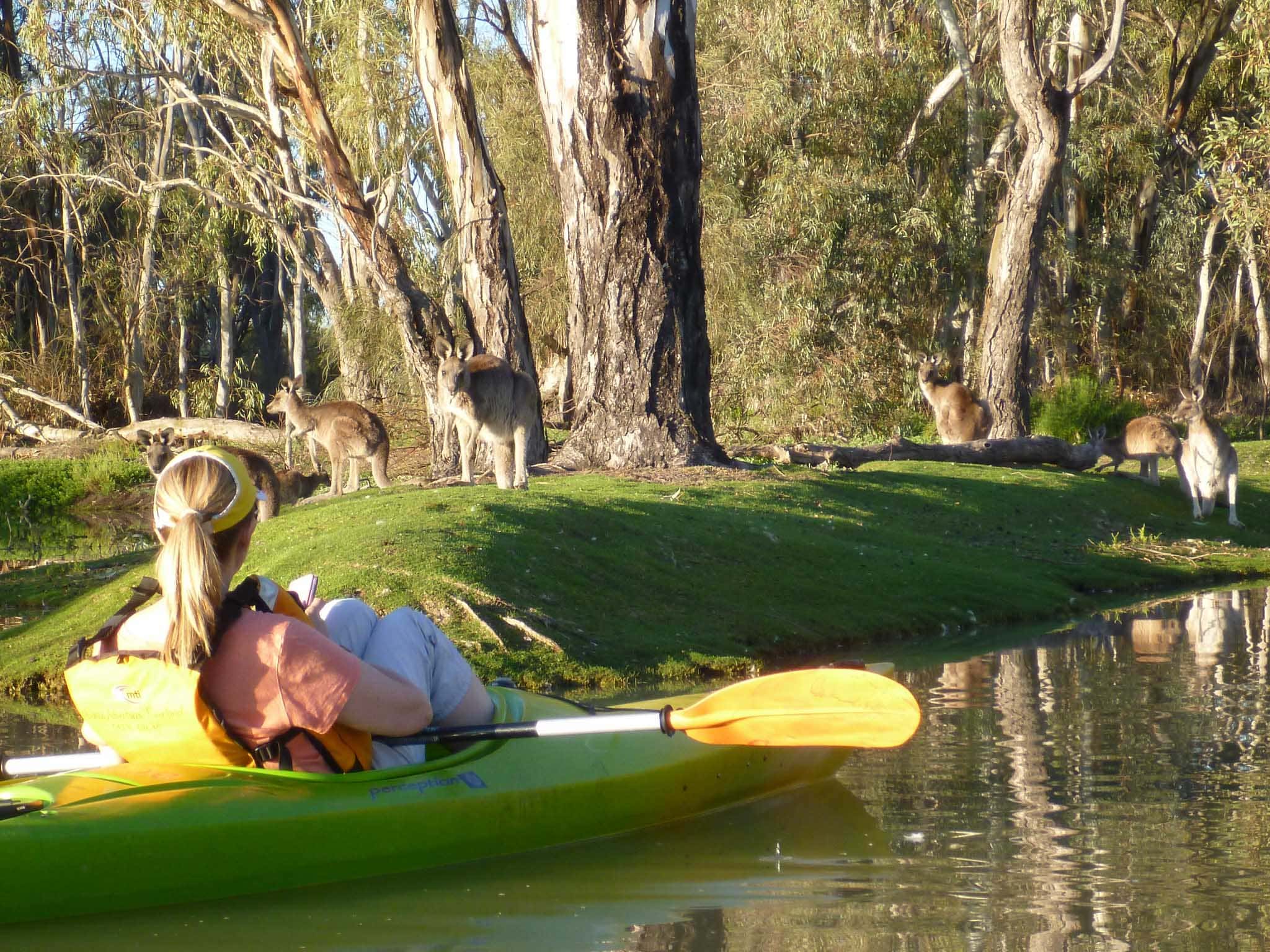 Guided Canoe/Kayak Tours in the Riverland