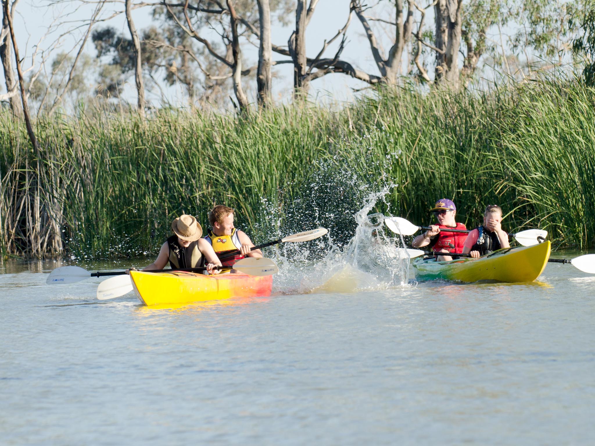 Kayak Hire Rates: Canoe Adventures Riverland