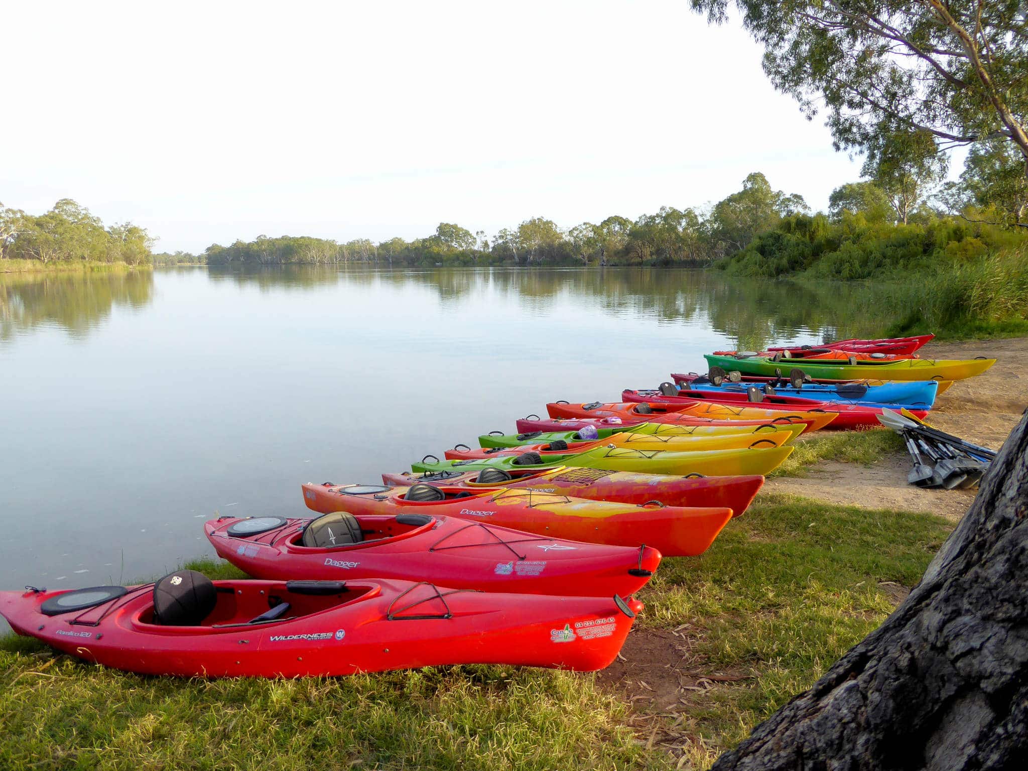Canoe Adventures Riverland: Kayak and Canoe Hire, Tours