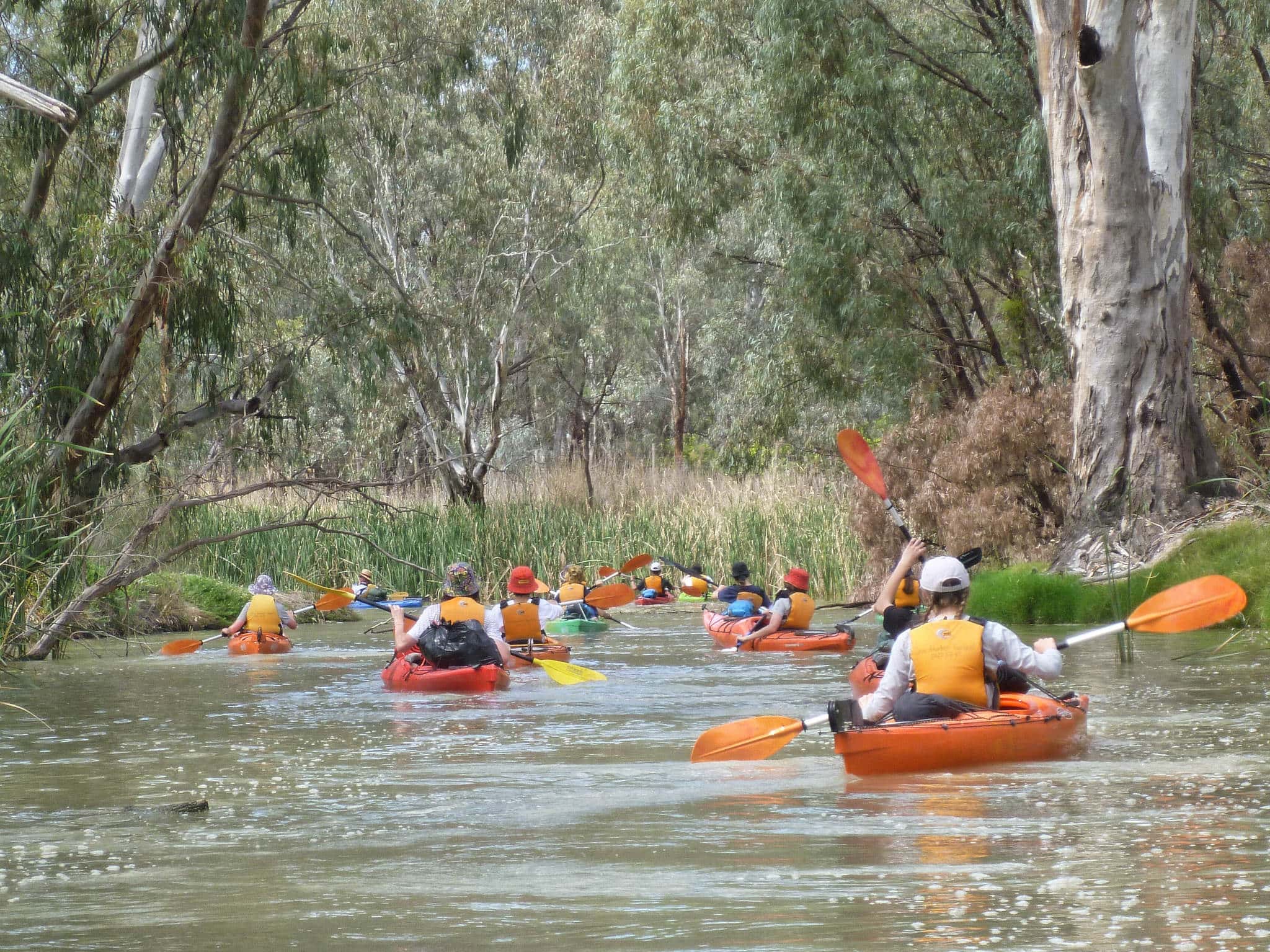 Guided Group Tours | Kayak or Canoe with Canoe Adventures