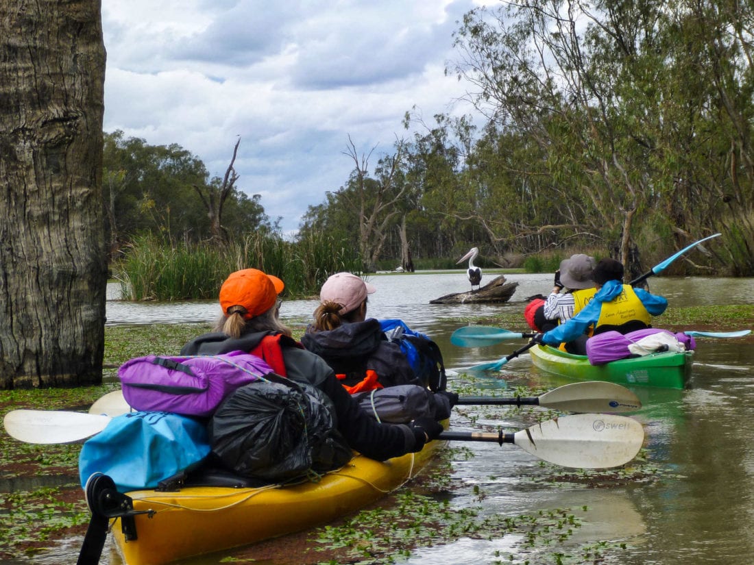 Kayak Camping and Canoe Camping in South Australia - Canoe Adventures